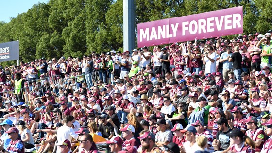 Manly Warringah Sea Eagles - Sea Eagles