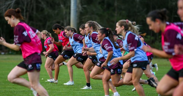 2024 Sea Eagles Draw for Lisa Fiaola and Tarsha Gale Cups | Manly ...