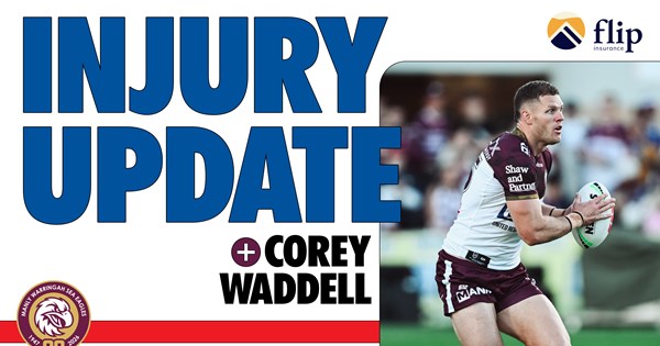 Injury Report Corey Waddell | Manly Warringah Sea Eagles